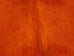 Orange Cowhide Rug – Cowhide Imports
